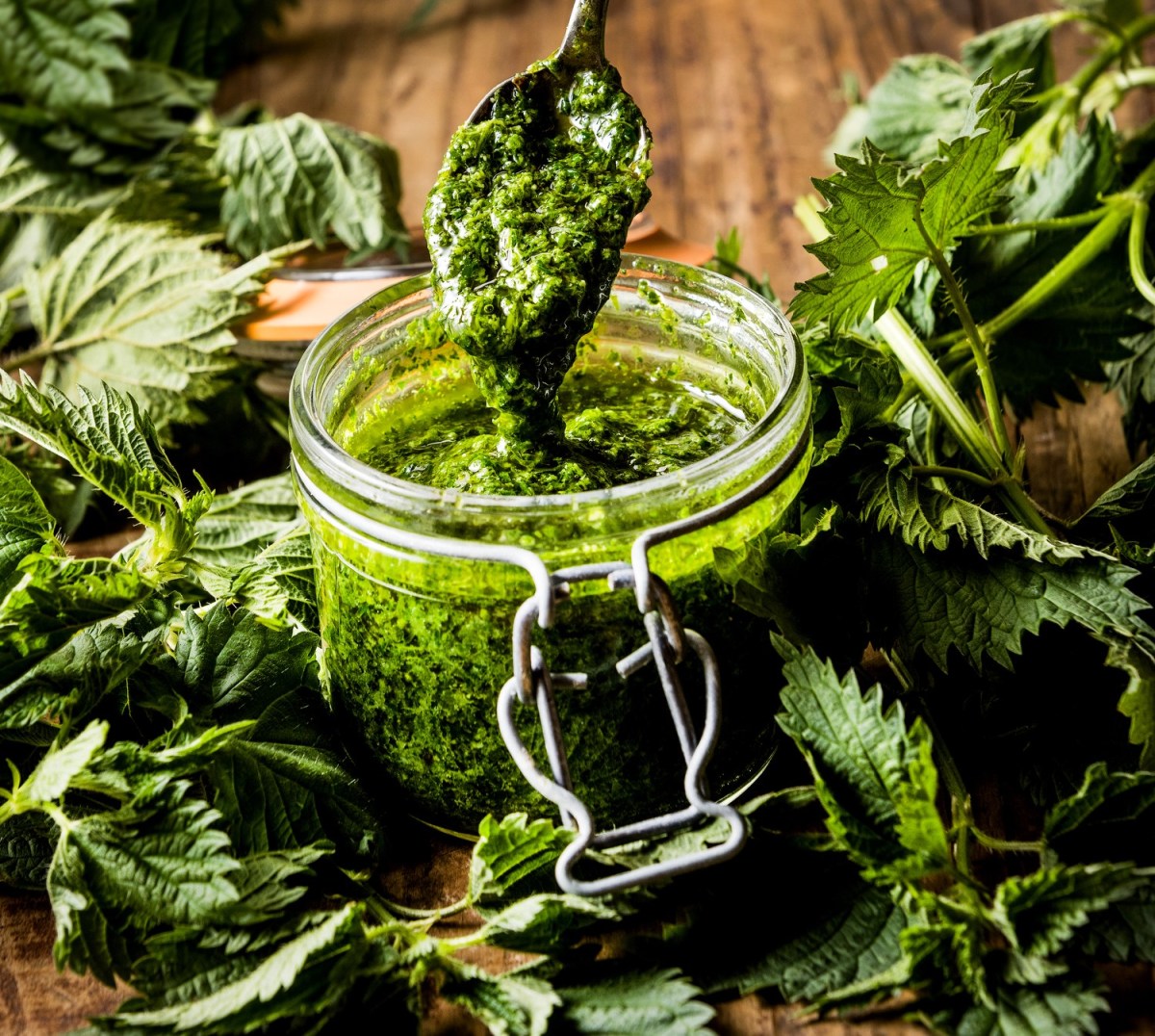 Wild Spring Greens – Chef John Ash